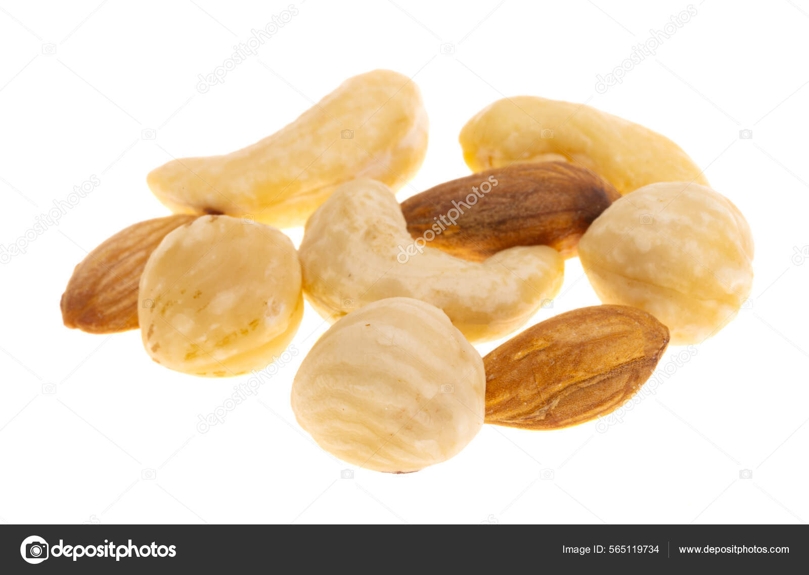Nuts Isolated White Background Stock Photo by ©ksena32 565119734