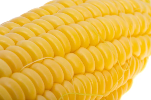 Corn teeth Stock Photos, Royalty Free Corn teeth Images | Depositphotos