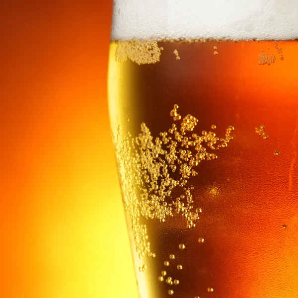 Beer — Stock Photo © Zoooom #1189923