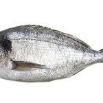 Dorado fish Stock Photo by ©Alexstar 1209846