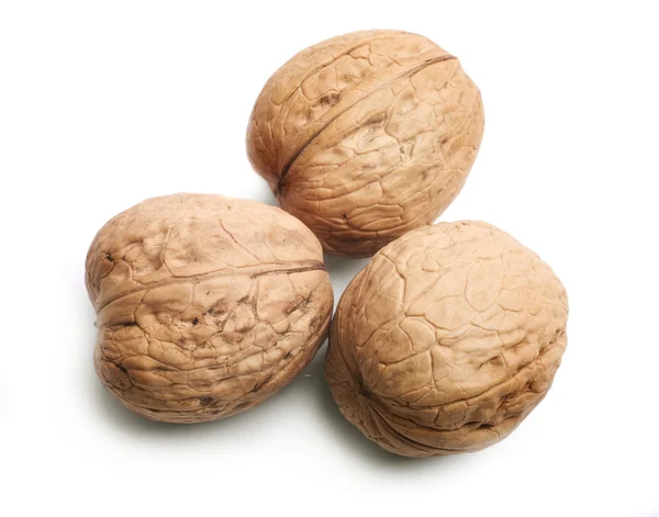 Hazel nut Stock Photos, Royalty Free Hazel nut Images | Depositphotos®