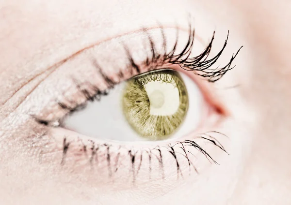 Hazel eye Stock Photos, Royalty Free Hazel eye Images | Depositphotos®