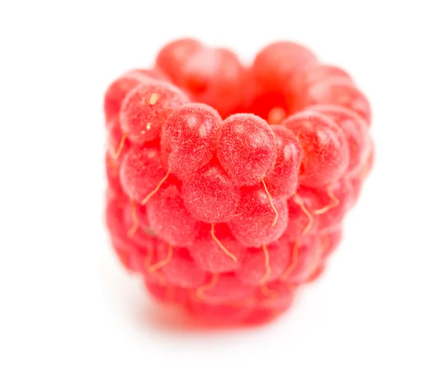 Red Raspberry White Background — Stock Photo © valphoto #222689504