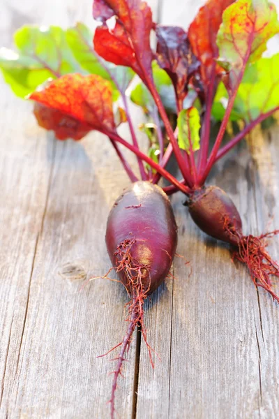 Beetroot on wooden table - Stock Image - Everypixel