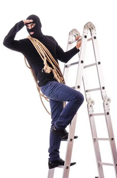 Thief with ladder Stock Photos, Royalty Free Thief with ladder Images ...
