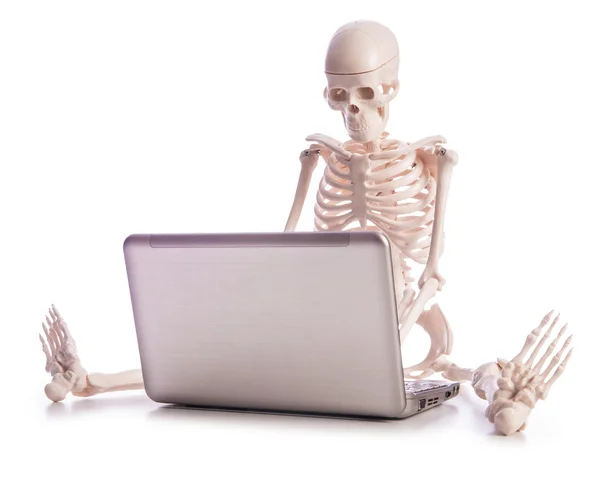 ᐈ Skeleton on the computer stock photos, Royalty Free skeleton by ...