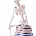 Skeleton reading books on white Stock Photo by ©Elnur_ 24772783