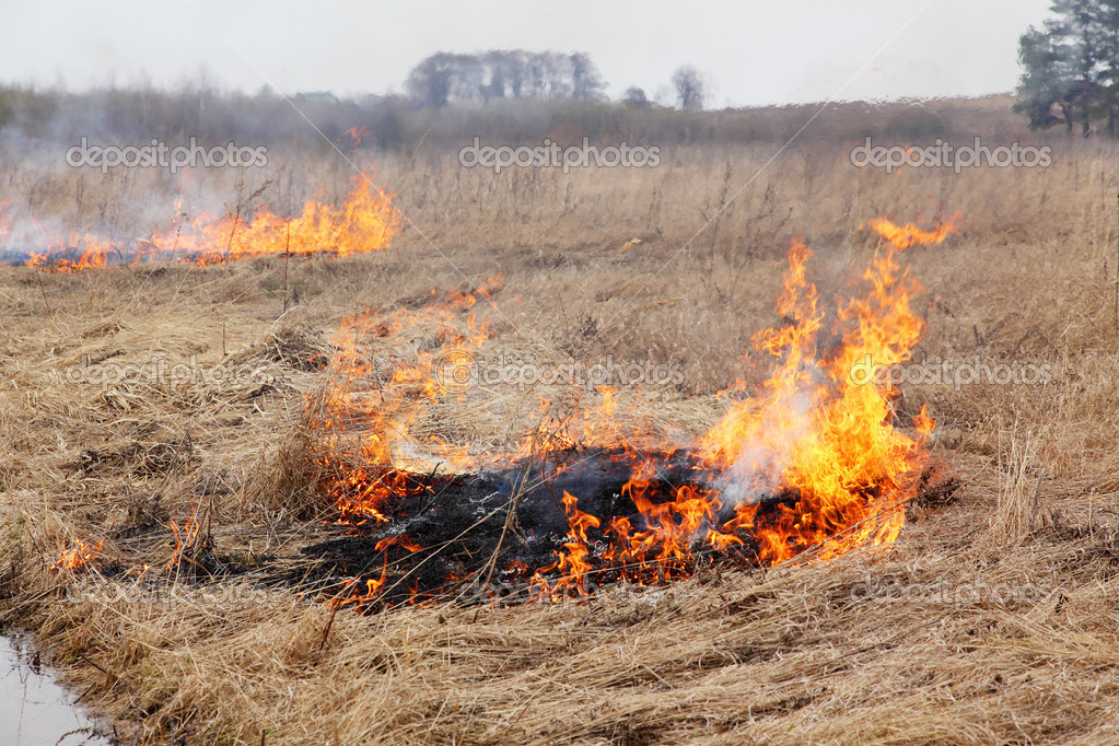 Quema de pasto seco — Foto de stock © offscreen #25896639