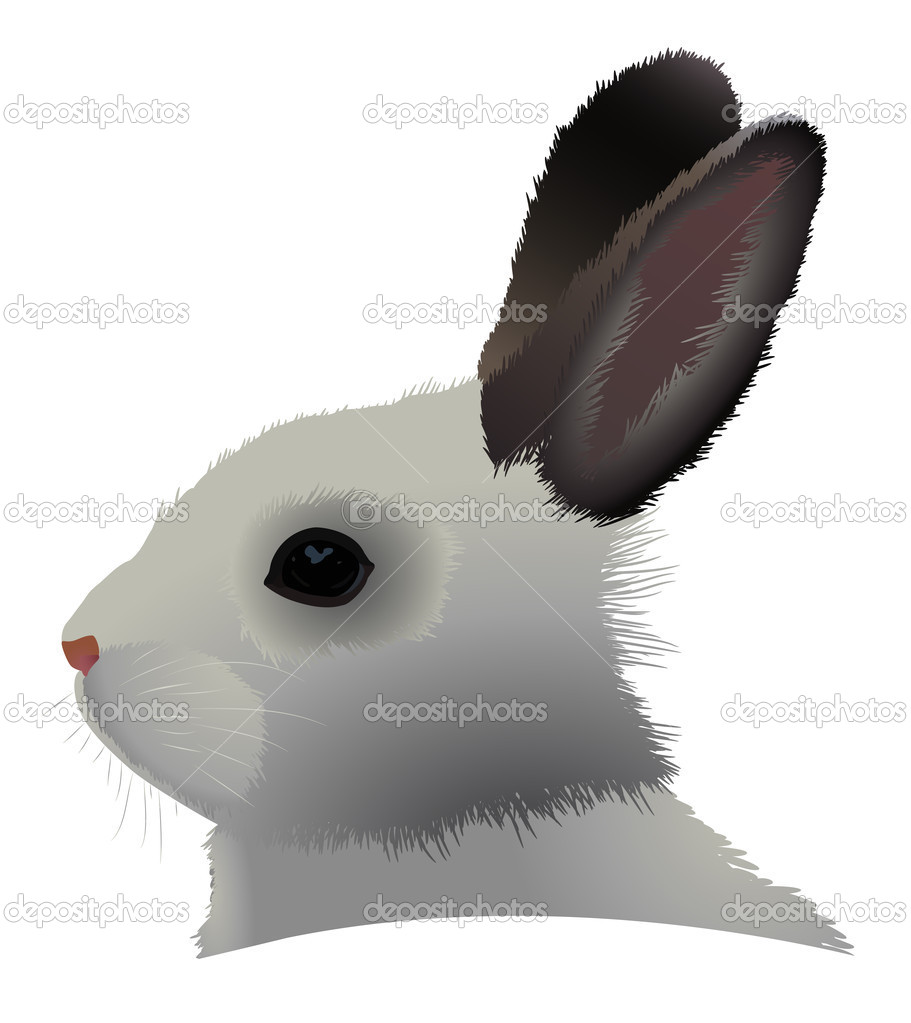 Rabbit head Stock Vector by ©leonikonst 43820265