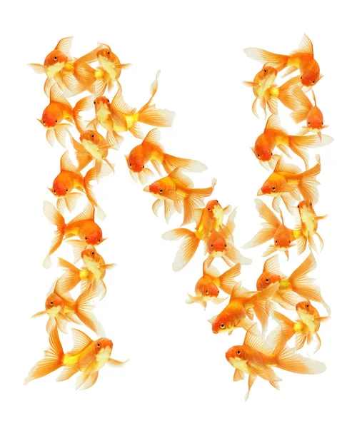 Gold fish alphabet letter — Stock Photo © Irochka #5138670