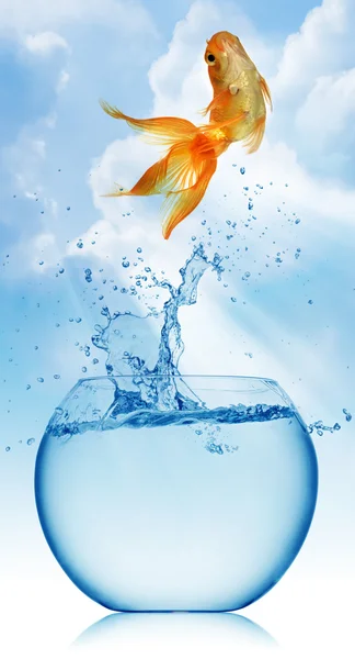 52,188 Leap Stock Photos, Images | Download Leap Pictures on Depositphotos®