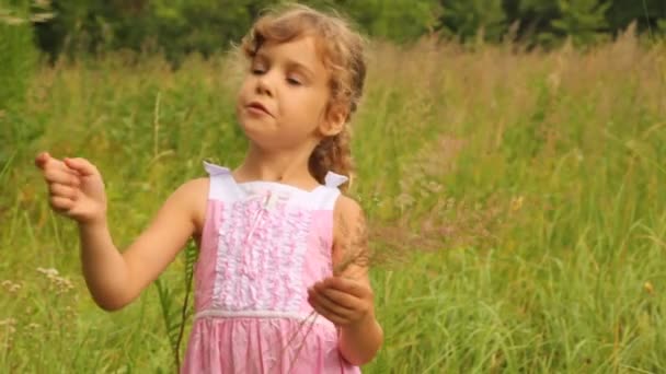 Girl is counting the blades of grass — Stock Video © Paha_L #27545253