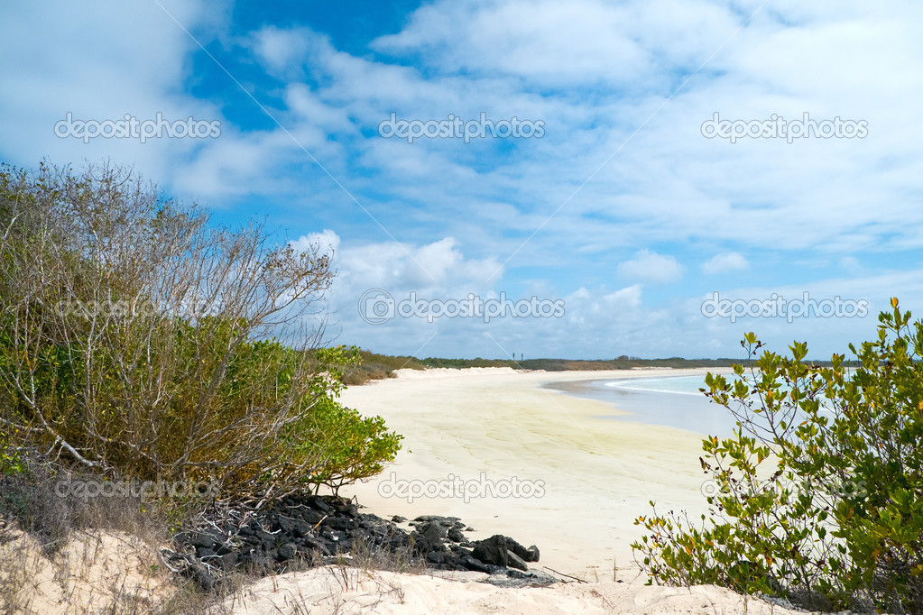 Isabela Island Beach