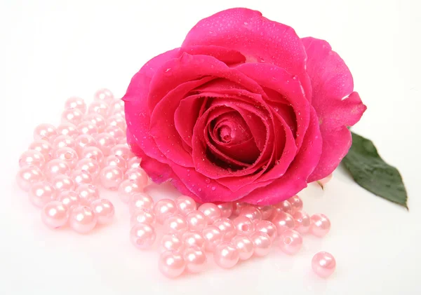 Rose And Pearls Wallpaper