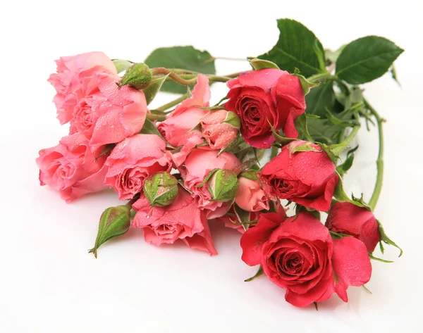 Fine roses Stock Photo by ©Elena777 35579341