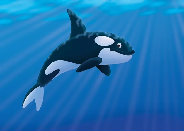 Blue orca whale cartoon Stock Photos, Royalty Free Blue orca whale ...