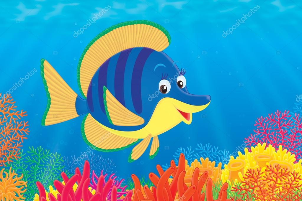 Tropical marine yellow and blue fish with deep blue stripes swimming ...