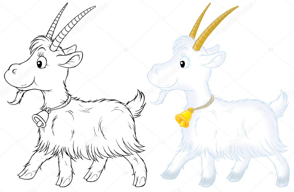 White Goat Stock Photo by ©AlexBannykh 16869007