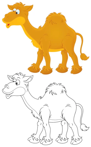 Unta mewarnai coloring Stock Photos, Royalty Free Unta mewarnai ...