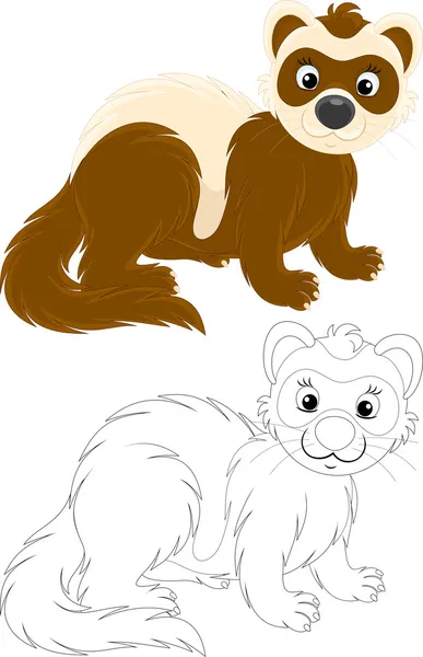 ᐈ Polecat stock pictures, Royalty Free a polecat images | download on ...