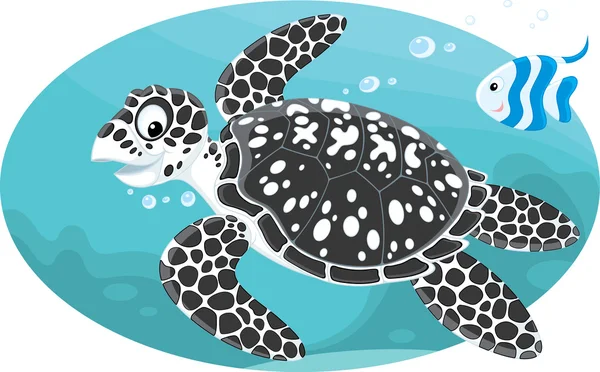 55 Loggerhead Vectors, Royalty-free Vector Loggerhead Images ...