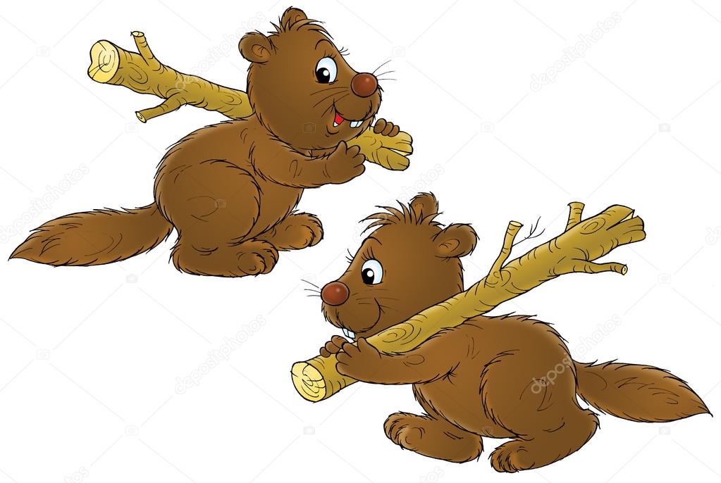 Two cute brown beavers carrying wood logs — Stock Photo © AlexBannykh ...