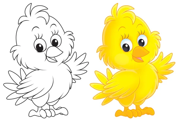 Baby Chick Clipart Black And White