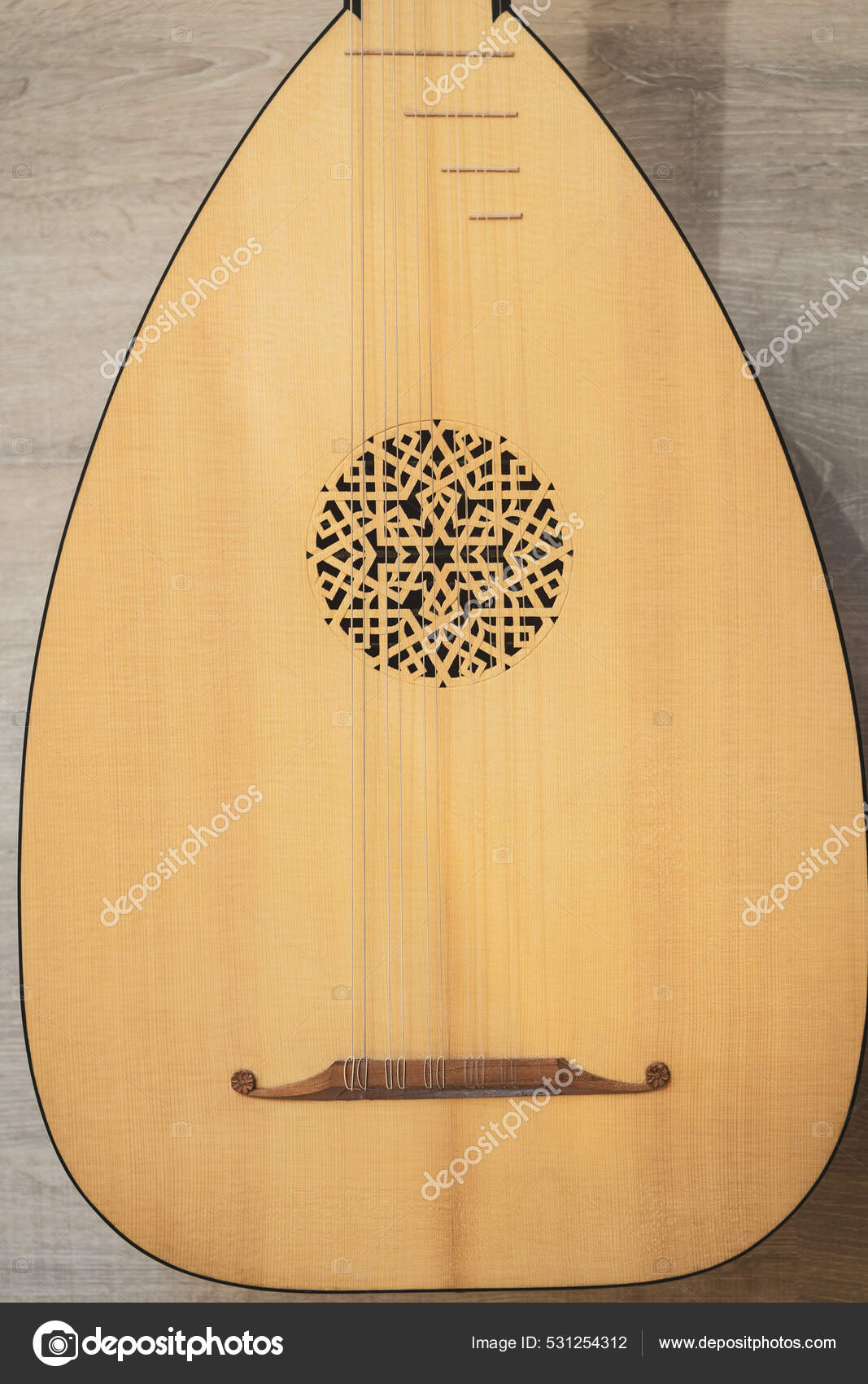 Lute 16Th Century Close Details Stock Photo by ©Demian 531254312