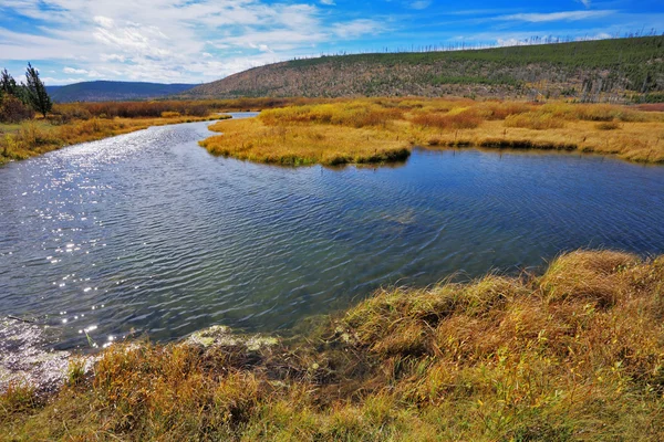 Superficial Stock Photos, Royalty Free Superficial Images | Depositphotos