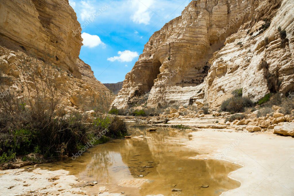 El antiguo oasis pintoresco en el desierto del Negev - el desfiladero ...