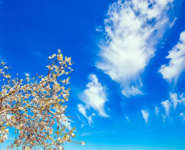 Spring sky background Stock Photos, Royalty Free Spring sky background Images | Depositphotos
