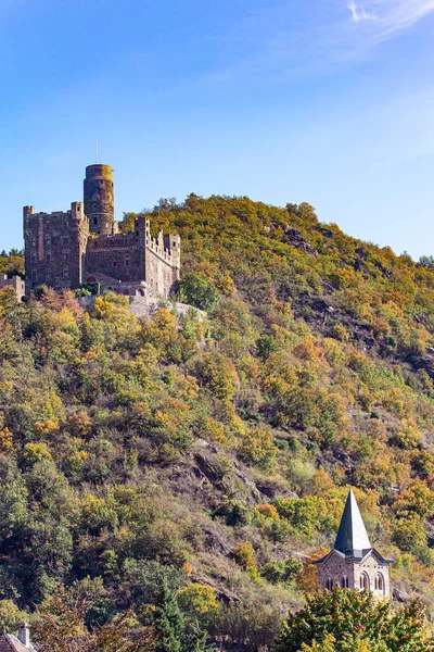 Scenic Castle Mouse. Steep wooded banks of the great river Rhine ...