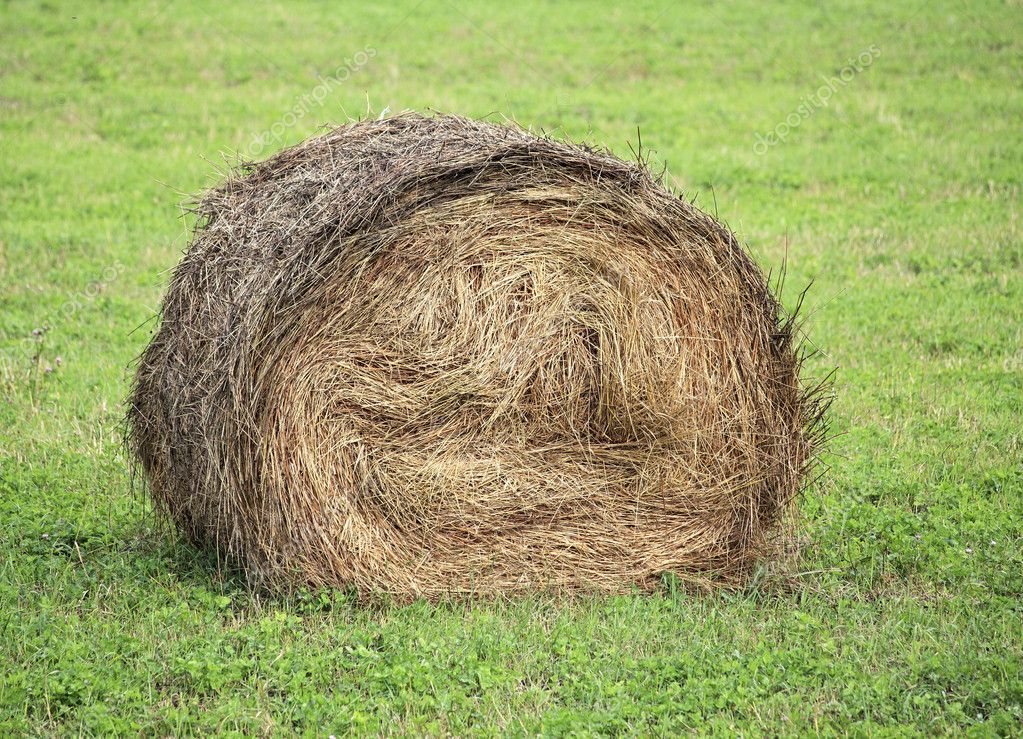 Haystack on the field — Stock Photo © yykkaa #13954860