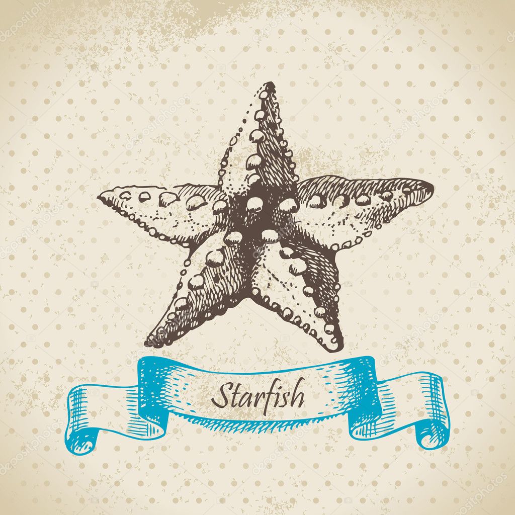 Starfish. Hand drawn illustration — Stock Vector © pimonova #17448393 Starfish. Hand drawn illustration — Stock Vector © pimonova #17448393