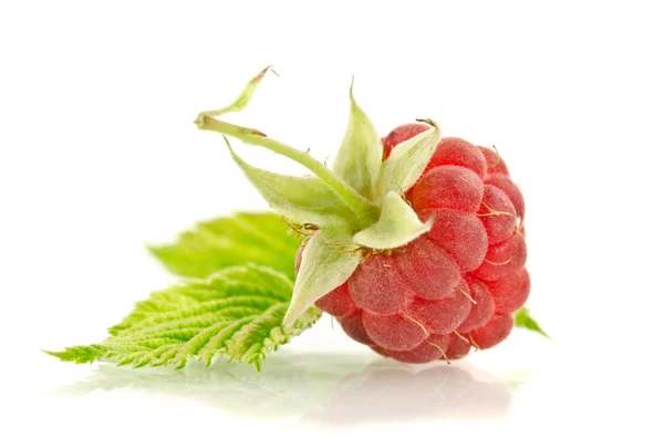 Raspberry pi programme Stock Photos, Royalty Free Raspberry pi ...