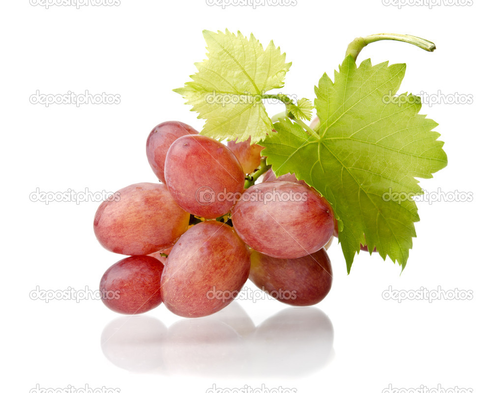Grappe de raisins avec feuilles isolées sur fond blanc image libre de ...
