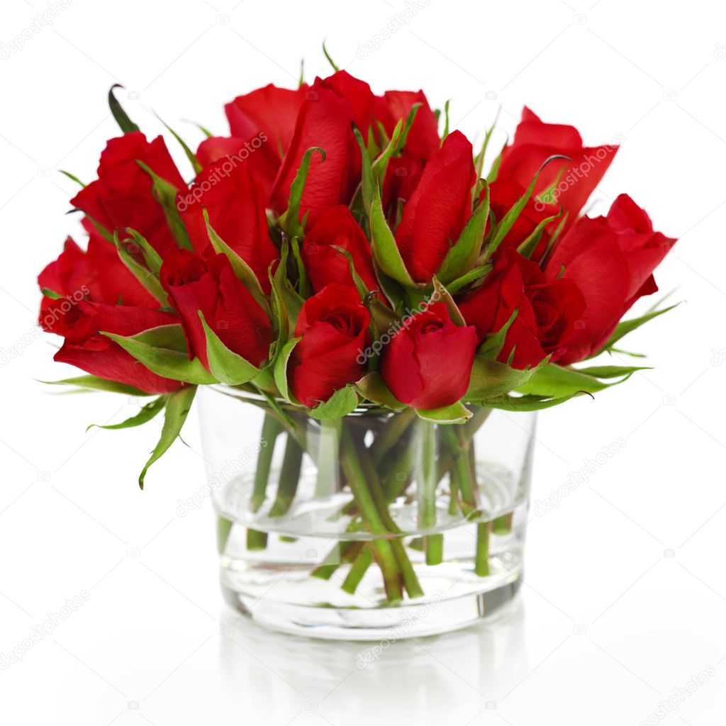 Beautiful red roses | Beautiful red roses — Stock Photo © klenova #25017145