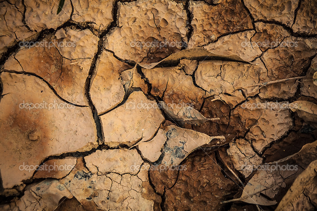 Dry sand background. Stock Photo by ©innervision 23393892