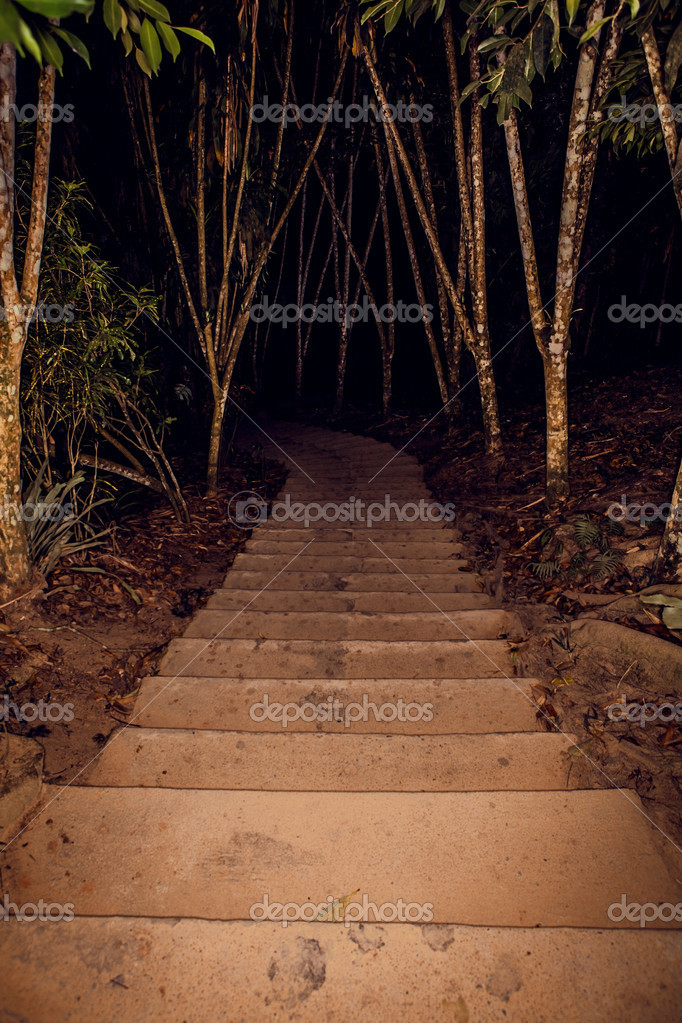 Old stone stairs in jungle Stock Photo by ©innervision 46669803