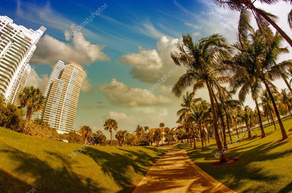 Walkway in a beautiful Park with Palms Stock Photo by ©jovannig 12906135