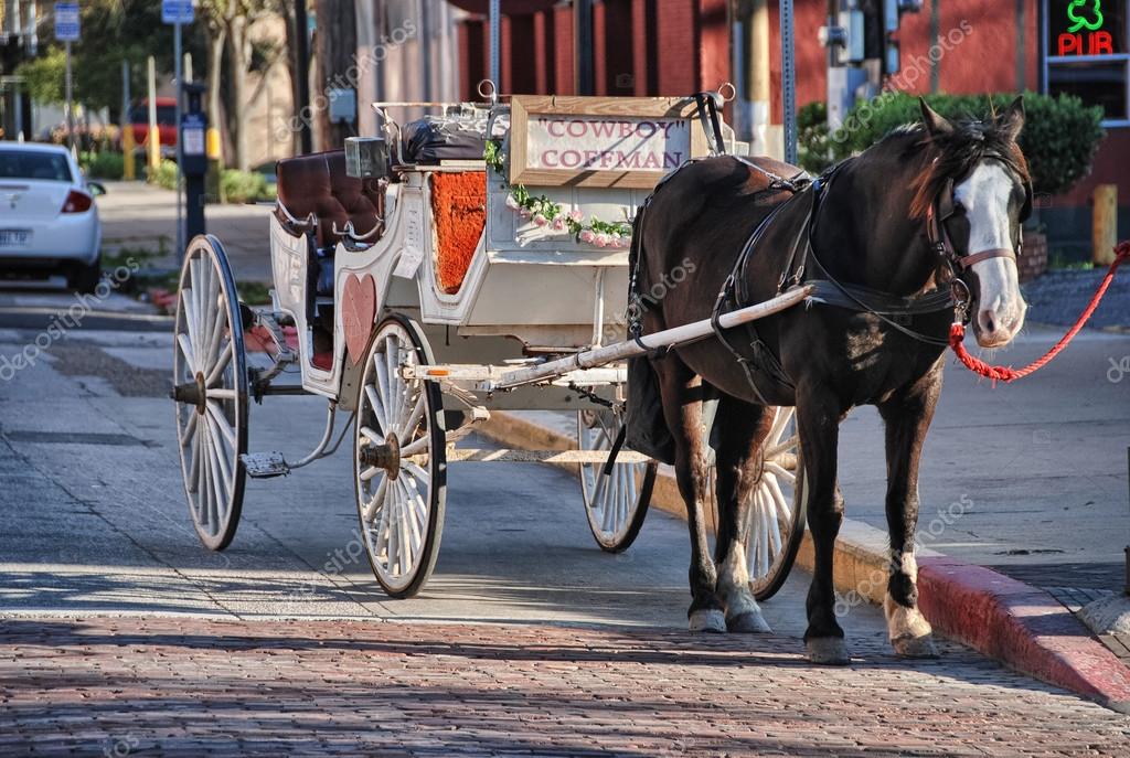 NEW ORLEANS - MAR 26: Mule-Drawn Carriage in the city streets, M ...