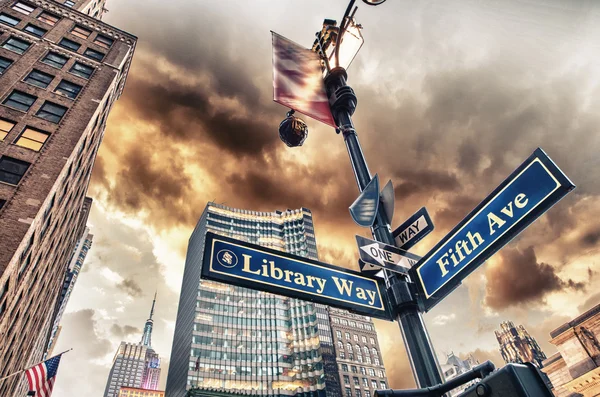 Library Way and 5th Avenue street sign in New York City Stock Photo by ...