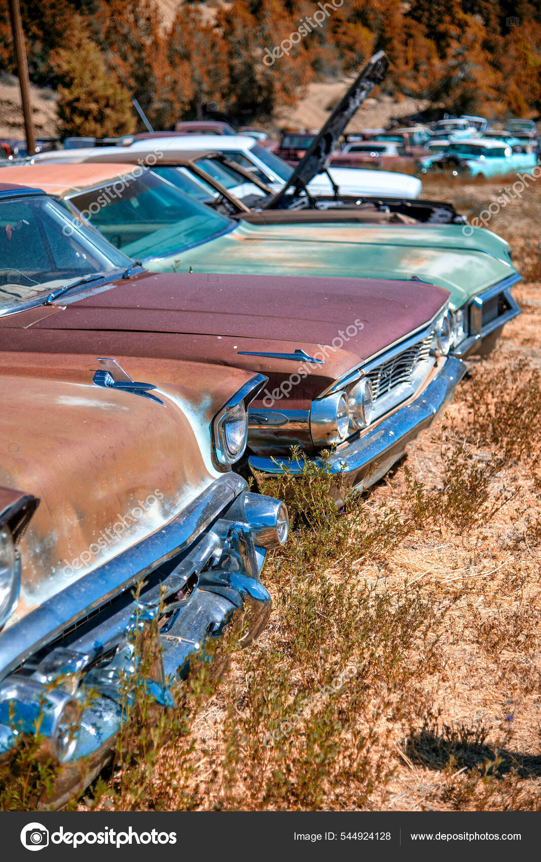 Rusty Old Cars Blue Sky Old Vintage Vehicles — Stock Photo © jovannig ...