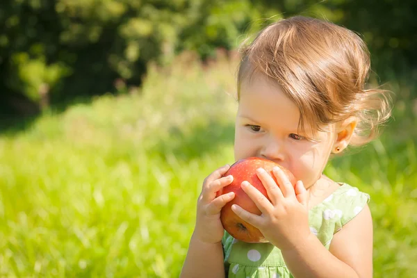 sachek Portfolio: Stock Photos, Vectors, Video, Audio | Depositphotos