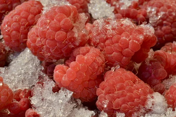 Raspberry frozen Stock Photos, Royalty Free Raspberry frozen Images ...