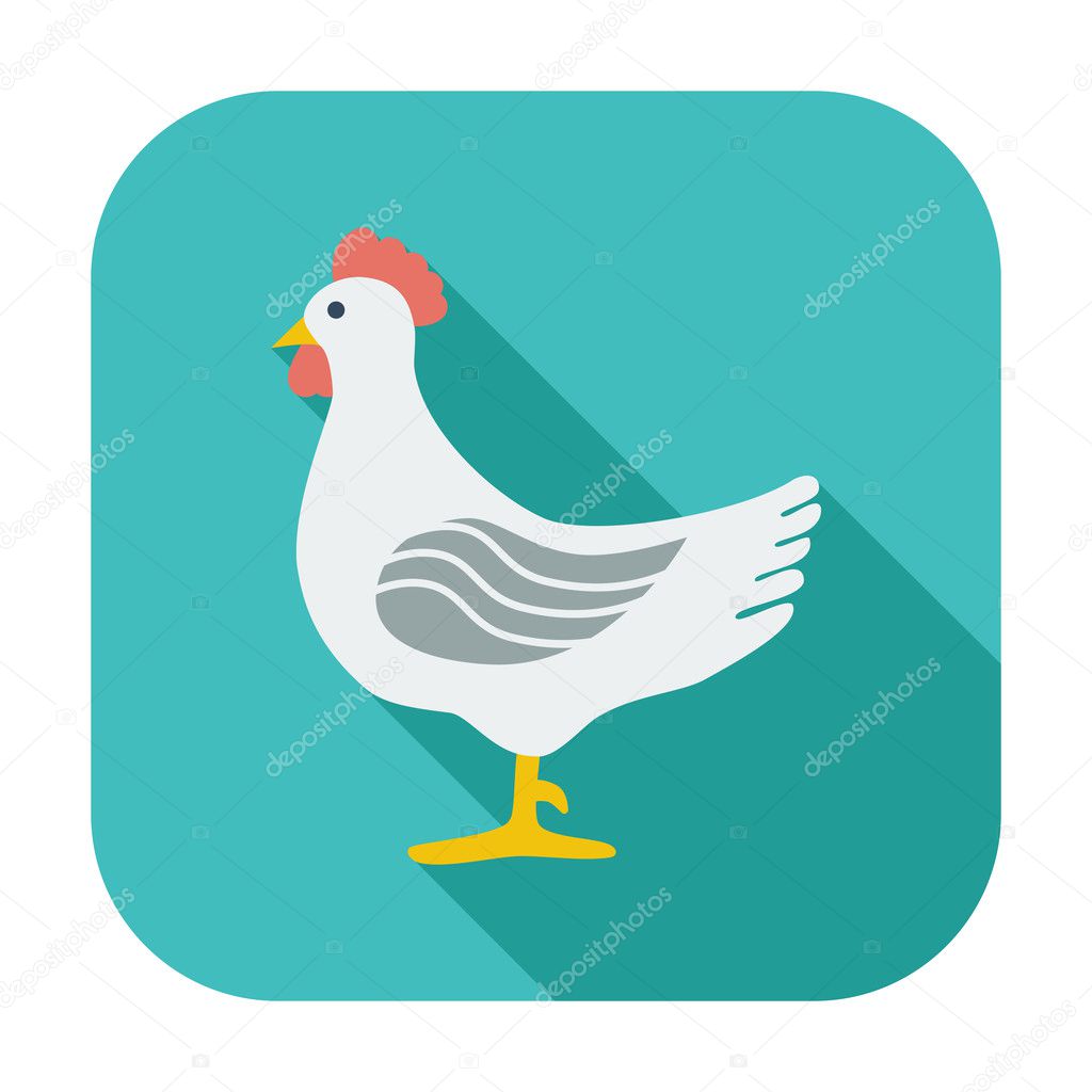 Chicken single icon. Stock Vector Image by ©leshkasmok #43253809
