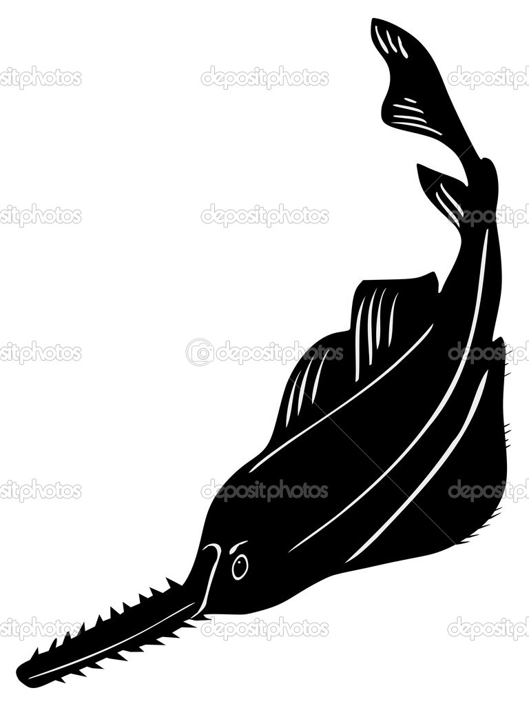 Silhouette of fish Stock Vector Image by ©Perysty #13697816