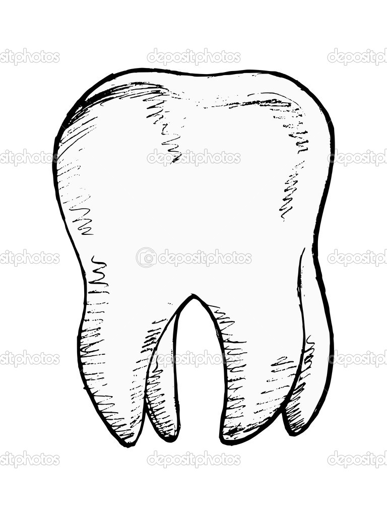 Illustration of tooth — Free Stock Vector © Perysty #21202557