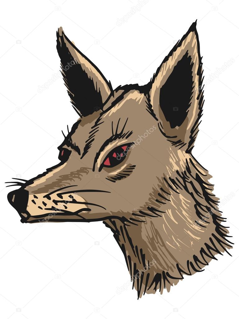 How To Draw A Jackals Head