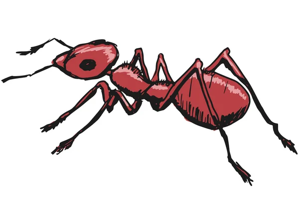 100,000 Red ant Vector Images | Depositphotos